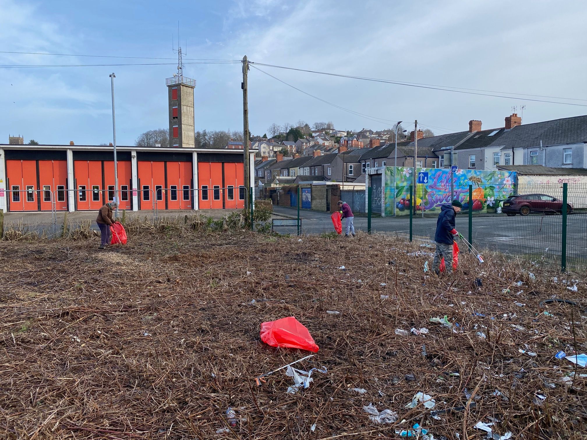 Eveswell Community Garden: A New Green Space for Maindee - Codi