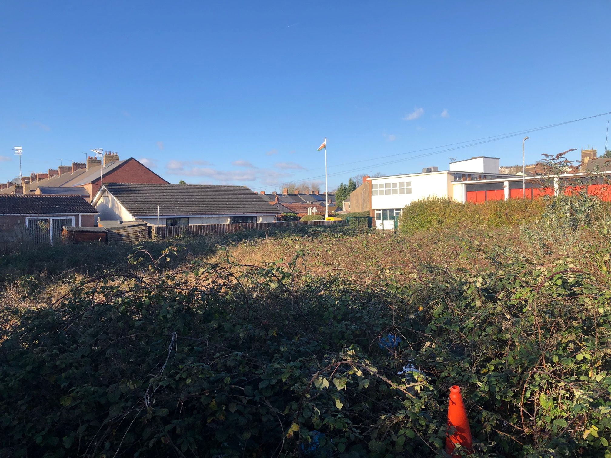 Eveswell Community Garden: A New Green Space for Maindee - Codi