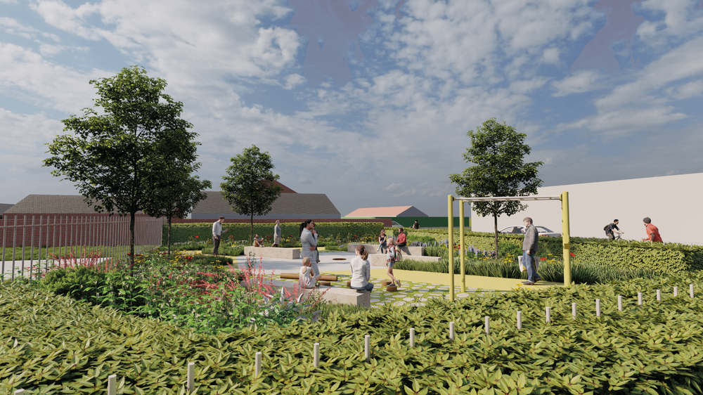Eveswell Community Garden: A New Green Space for Maindee - Codi